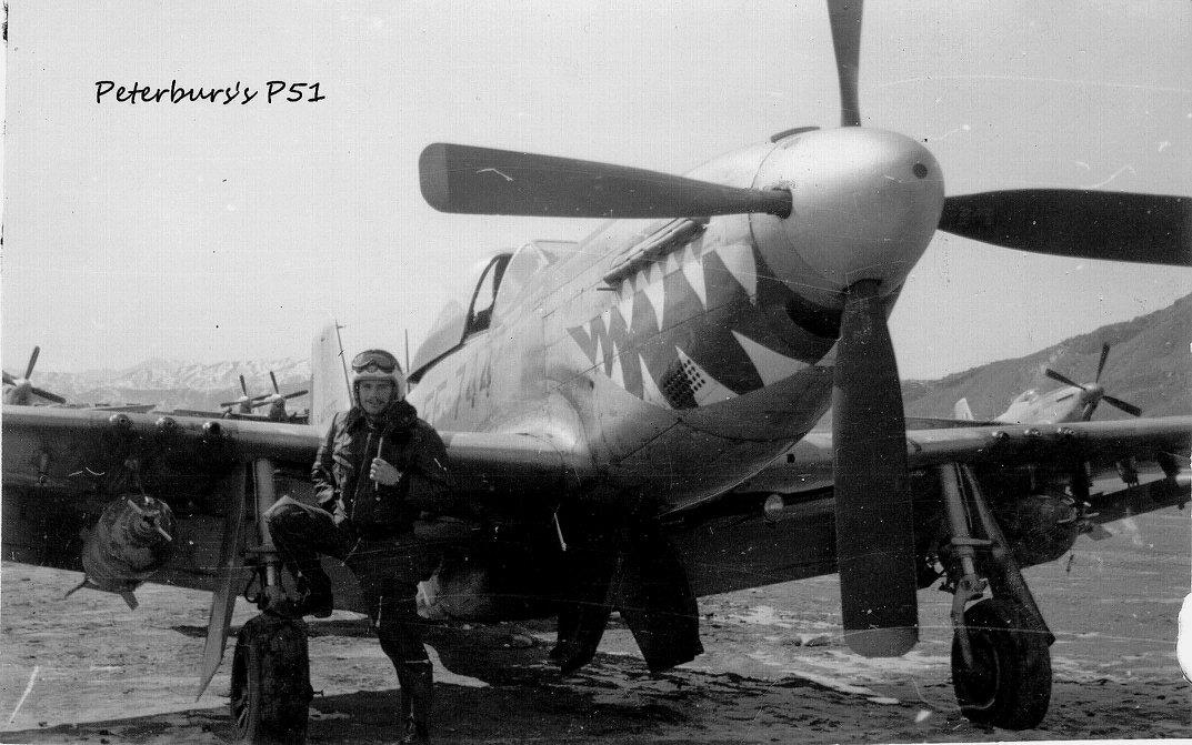 Online Member Event: A Conversation With WWII P-51 Mustang Pilot Joe ...